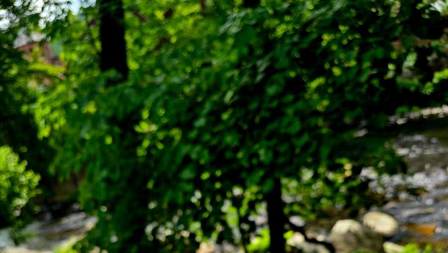 New Hampshire's best poutine of 2025