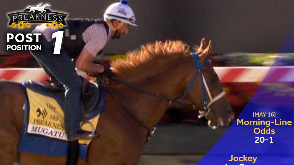 149th Preakness Stakes in photos