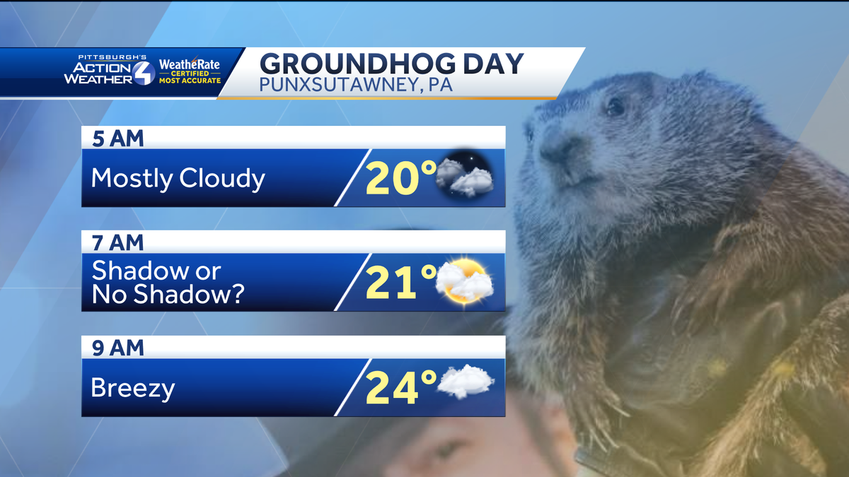 Groundhog Day forecast for Punxsutawney