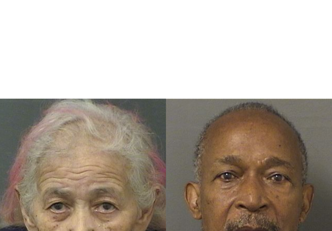 2 arrested after animals found living in deplorable conditions