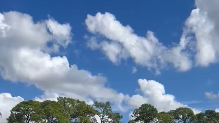 A Florida Gator took on a Florida gator. Billy Horschel prevailed in ...