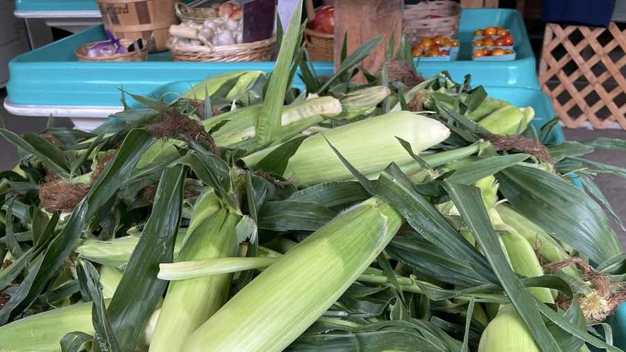 New Hampshire best corn on the cob of 2024
