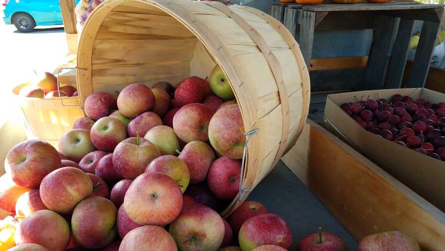 Viewer's Choice 2019: Best apple orchard
