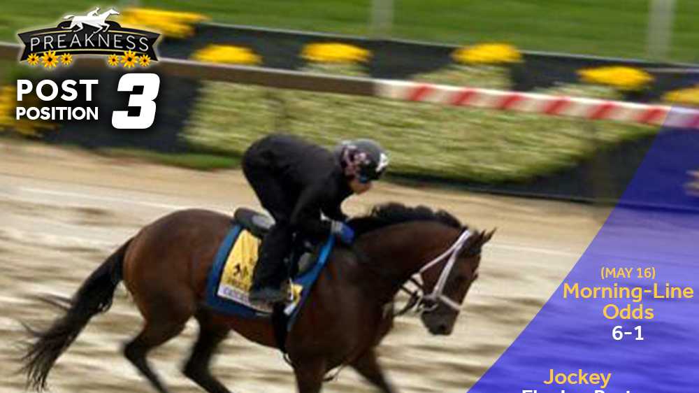 149th Preakness Stakes in photos