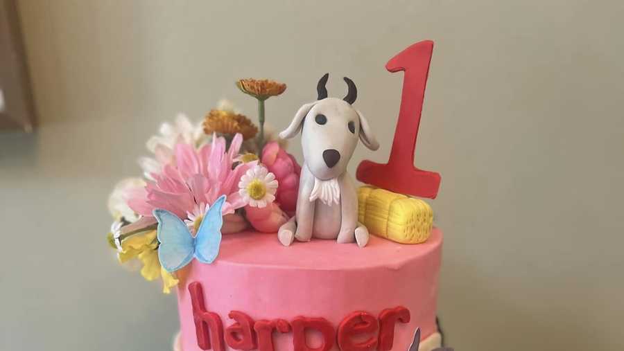 New Hampshire's best cakes of 2024