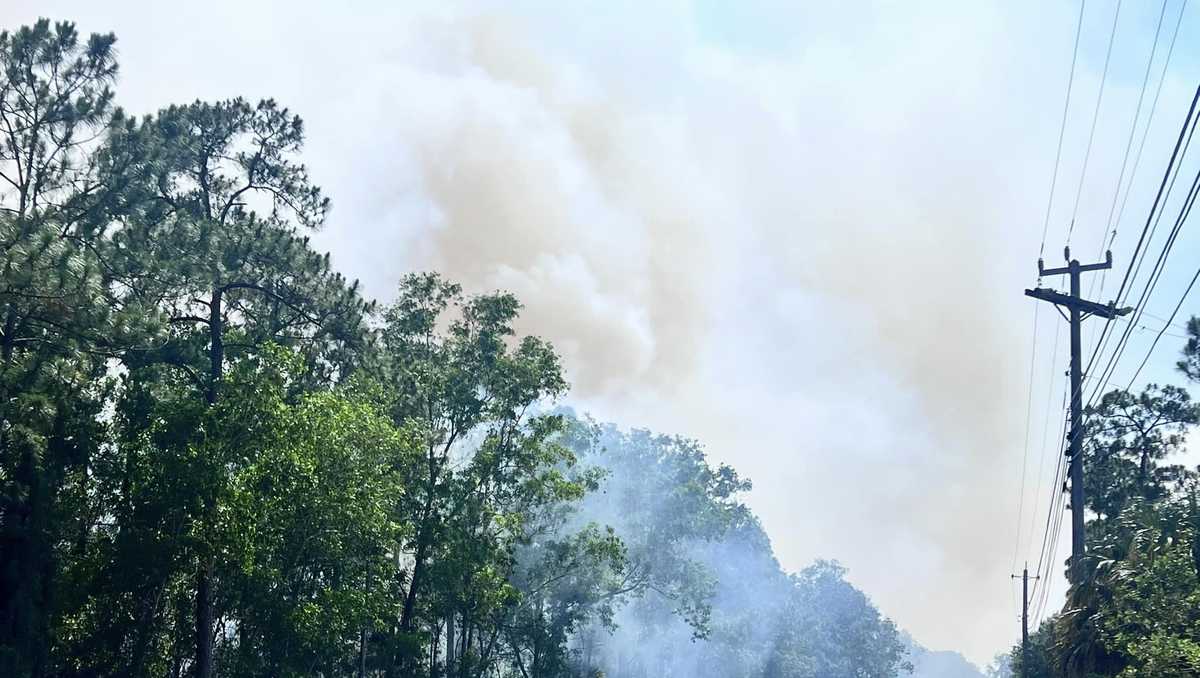Martin County Fire Rescue fighting brush fire near Martin Highway