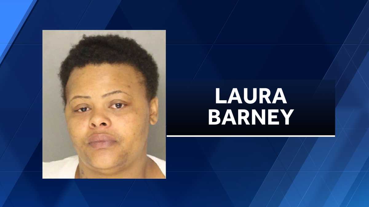 Police: Pittsburgh mother charged after children left home alone, CYF ...