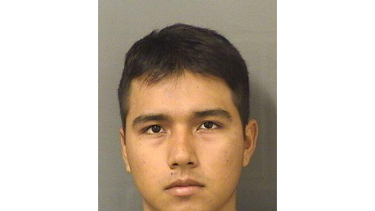 Florida Man accused of possession of child sexual abuse material