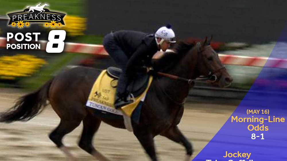 149th Preakness Stakes in photos