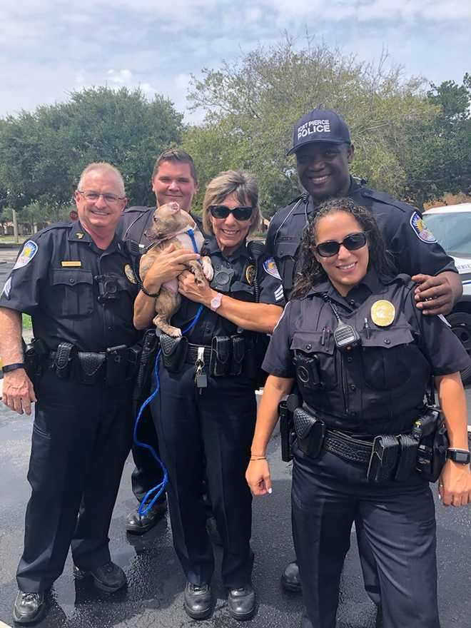 Fort Pierce Police officer rescues dog, names him Dorian