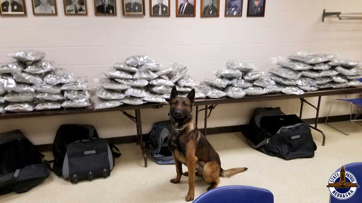 K9 officers help troopers seize 126 pounds of marijuana over the weekend