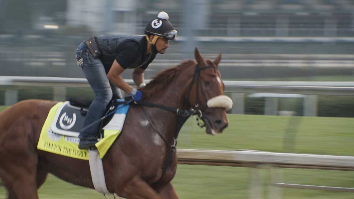 Finnick the Fierce becomes 3rd horse to drop out of Kentucky Derby Finnick the Fierce becomes 3rd horse to drop out of Kentucky Derby