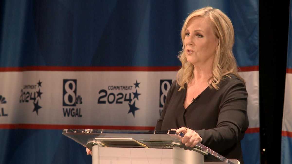 Janelle Stelson seeks Democratic primary win for 10th Congressional ...