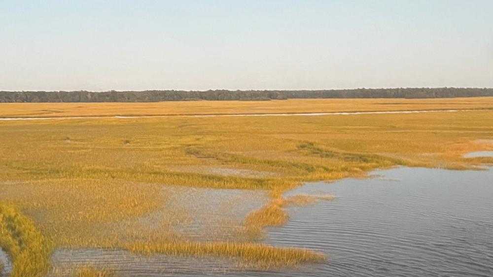 Crews rescue pilot forced to make emergency landing in marsh