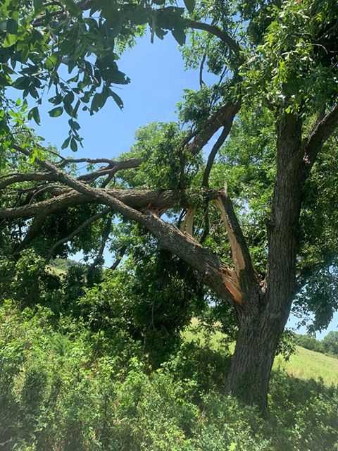 Gallery: Overnight severe storms cause damage in central Oklahoma Gallery: Overnight severe storms cause damage in central Oklahoma