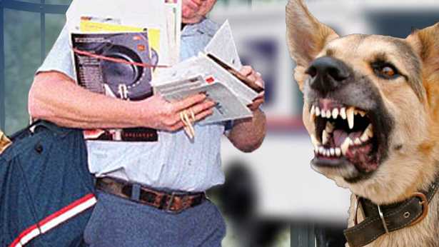 Postal service hands out flyers to combat dog bites