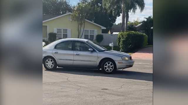 Neighbors find dog behind the wheel of moving car