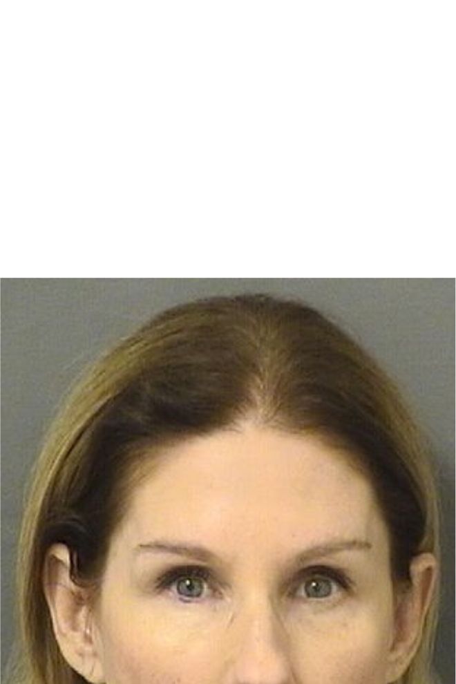 Florida woman charged in DUI crash that killed family, orphaned toddler