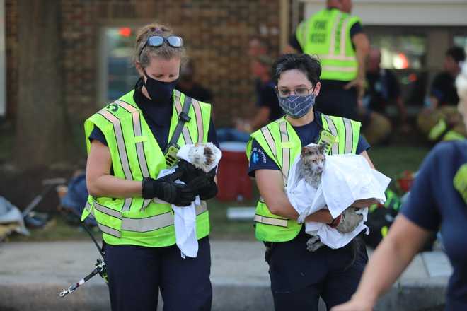 Howard County firefighters give family cat, guinea pig oxygen after fire