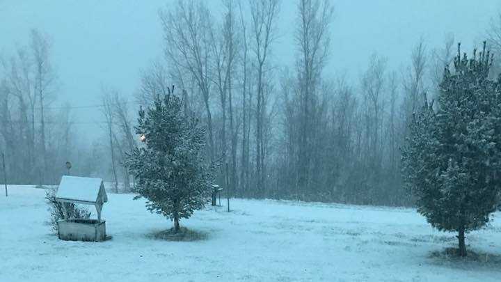 Photos: December snowfall