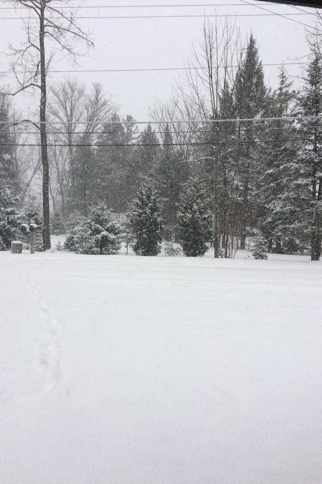 Photos: December snowfall