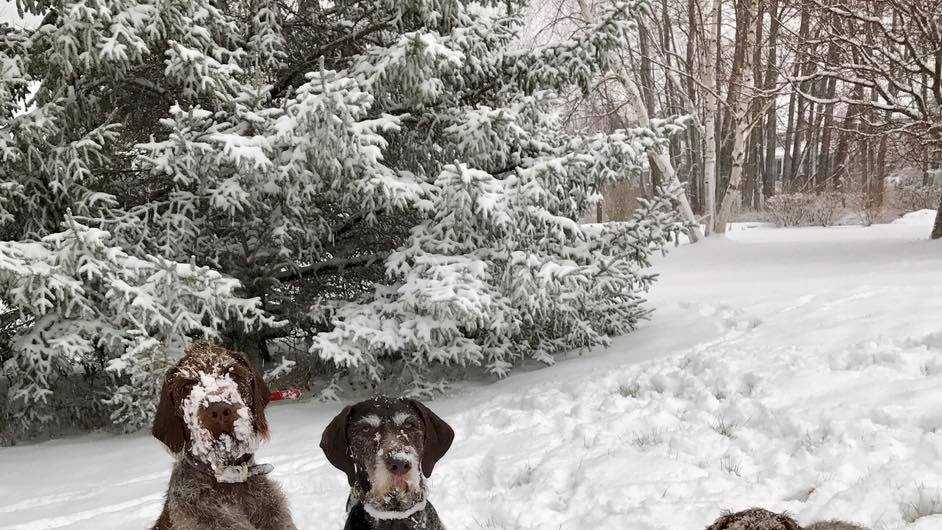 Photos: December snowfall