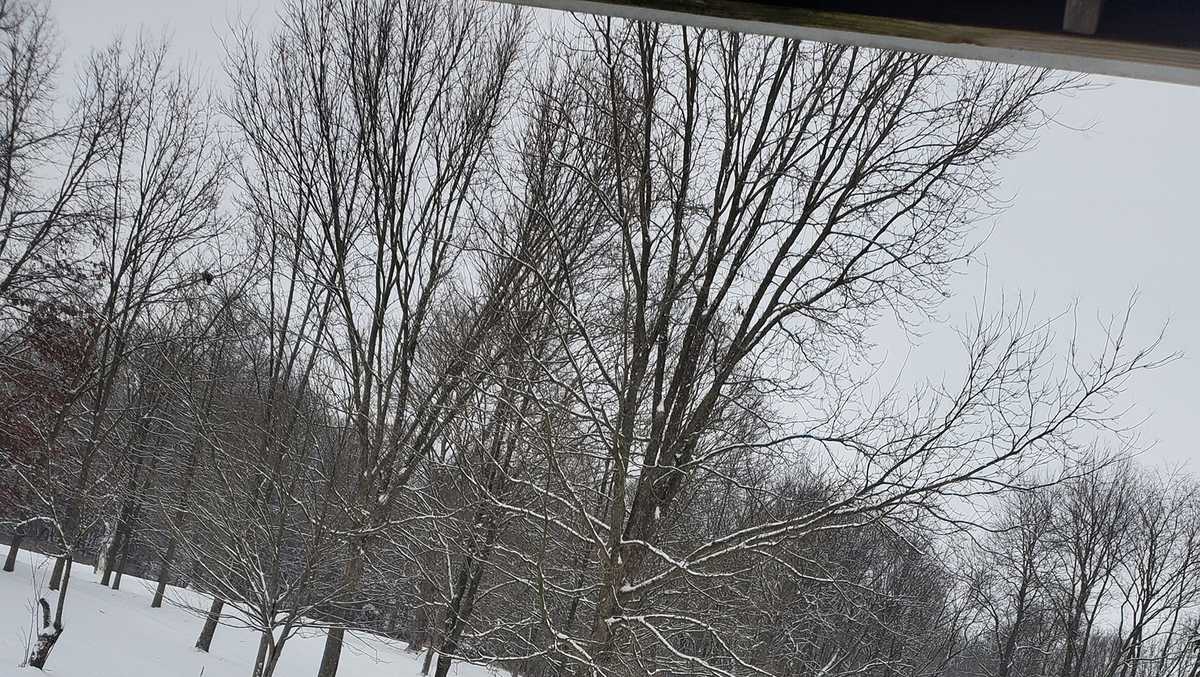 PHOTOS: Snowy shots from southern Indiana