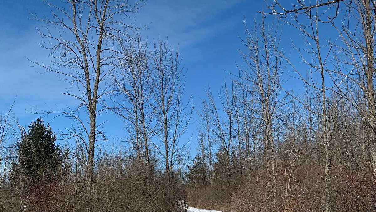 Why snow cover keeps temperatures cooler