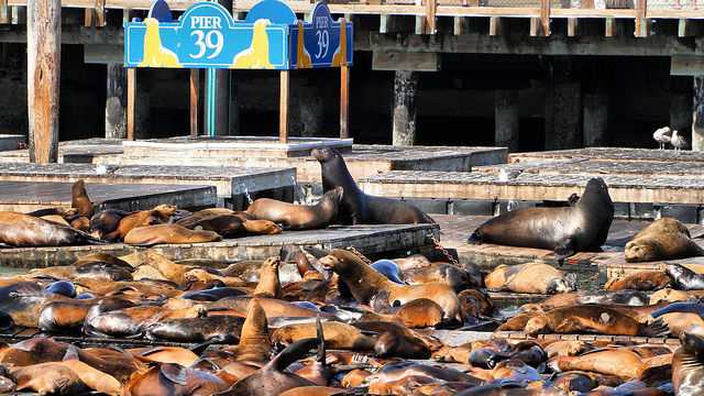 20 iconic San Francisco spots you have to visit