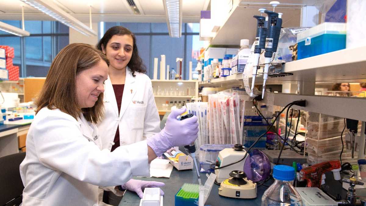 UC doctors research COVID-19 impact on patients with cancer, cancer history