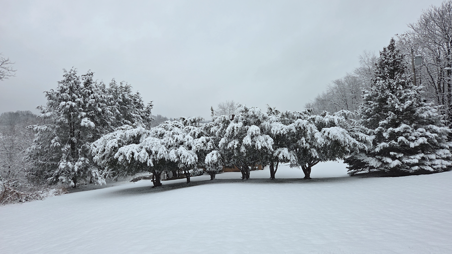 Pennsylvania snow videos, photos from WTAE viewers