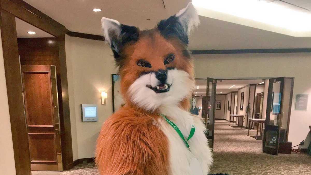 Photos: The Furries are back in town!