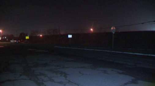 6 dogs that mauled Modesto woman to death to be put down