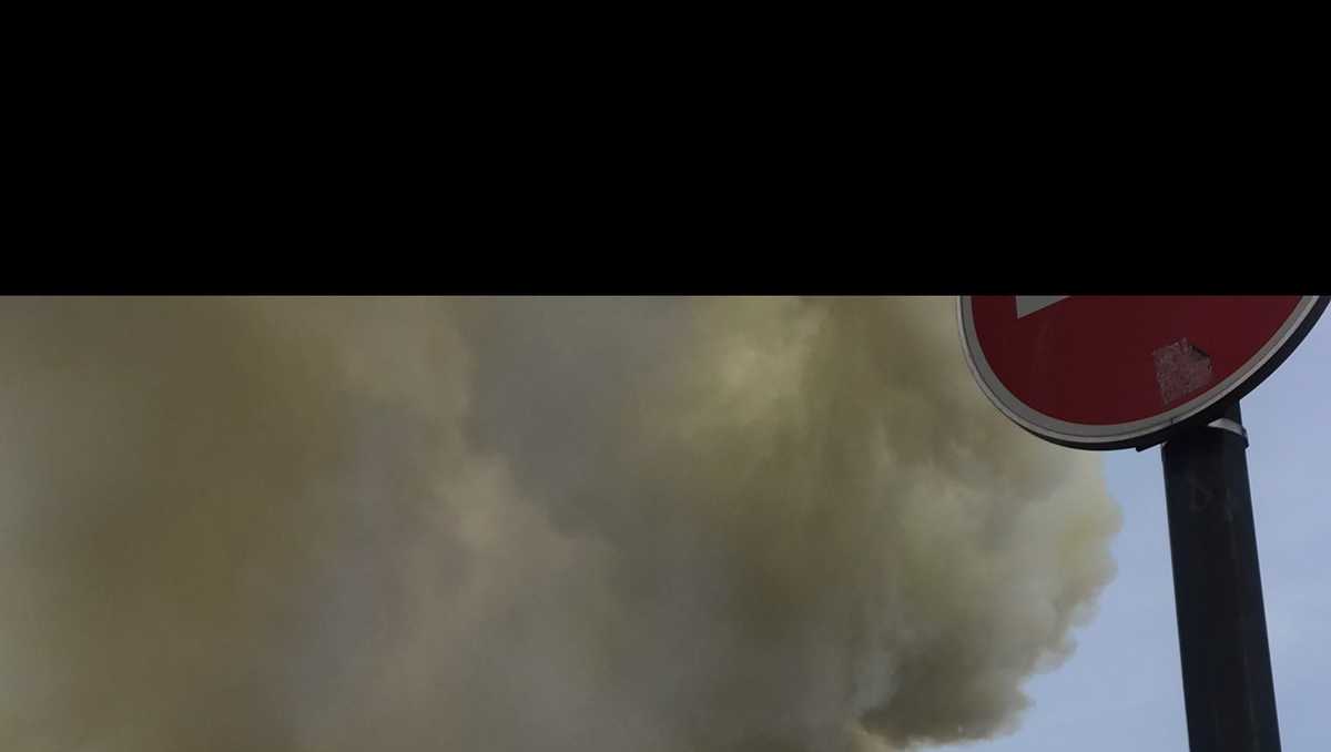 New Mexicans in Paris share pictures and video of the Notre Dame ...