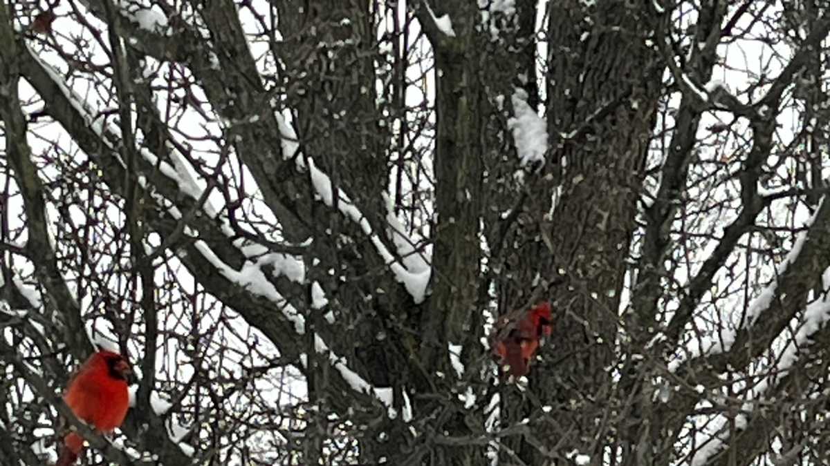 PHOTOS: Winter storm Blair leaves behind several inches of snow across ...