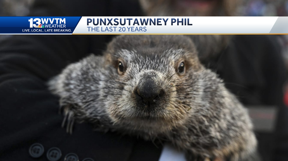 How accurate are groundhog weather predictions?