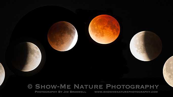 Unforgettable Eclipse Photos on u local