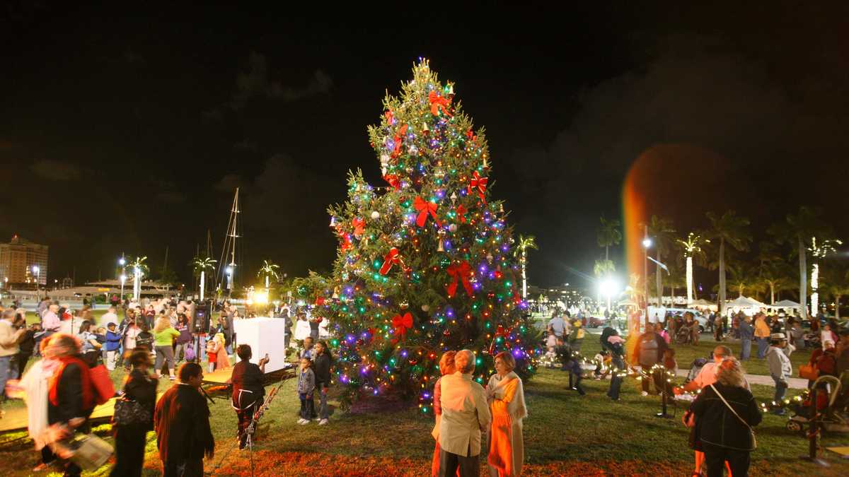 Sandi through the years: Celebrating 10 years of Sandi Tree in West ...