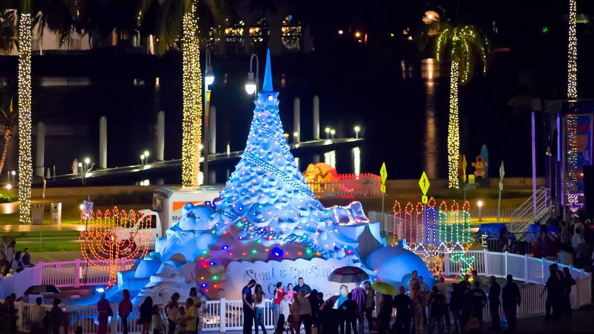 Sandi through the years: Celebrating 10 years of Sandi Tree in West ...