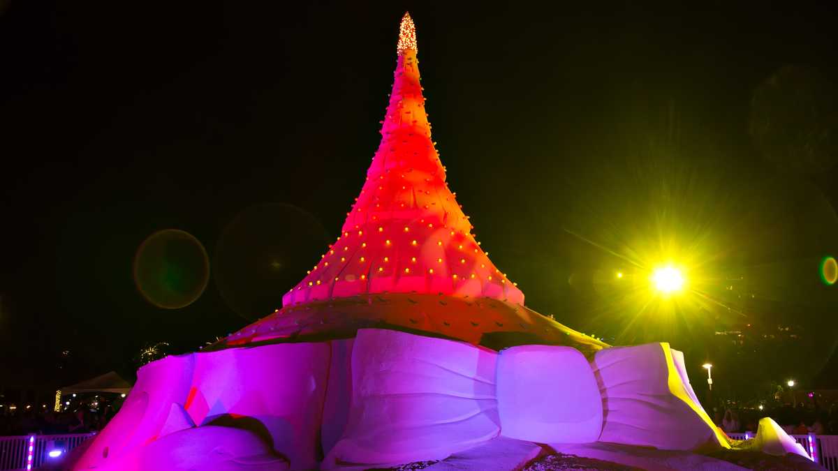 Sandi through the years: Celebrating 10 years of Sandi Tree in West ...