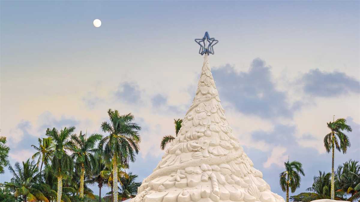 Sandi through the years: Celebrating 10 years of Sandi Tree in West ...