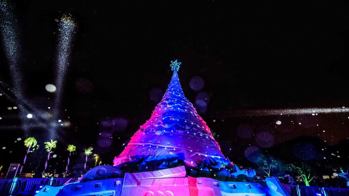 Sandi through the years: Celebrating 10 years of Sandi Tree in West ...