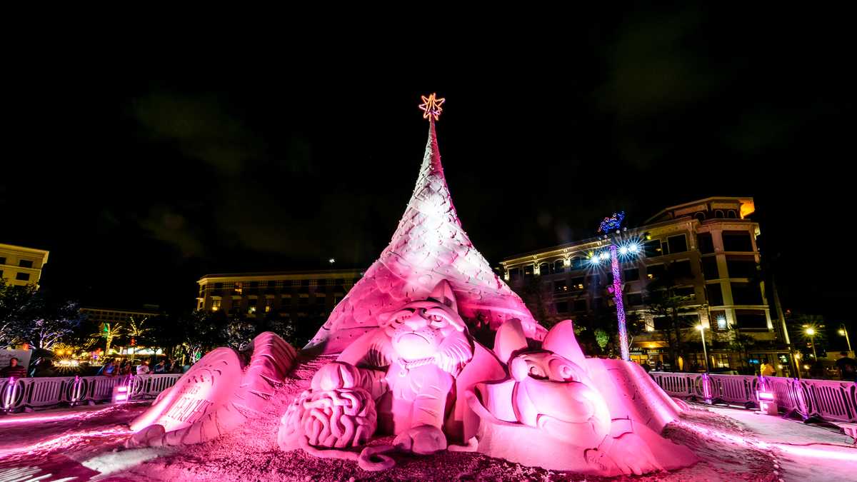 Sandi through the years: Celebrating 10 years of Sandi Tree in West ...