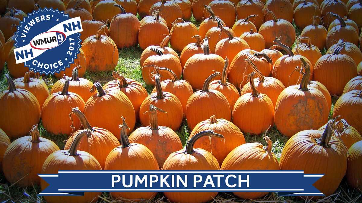 Viewers' Choice 2017: Best pumpkin patches in New Hampshire