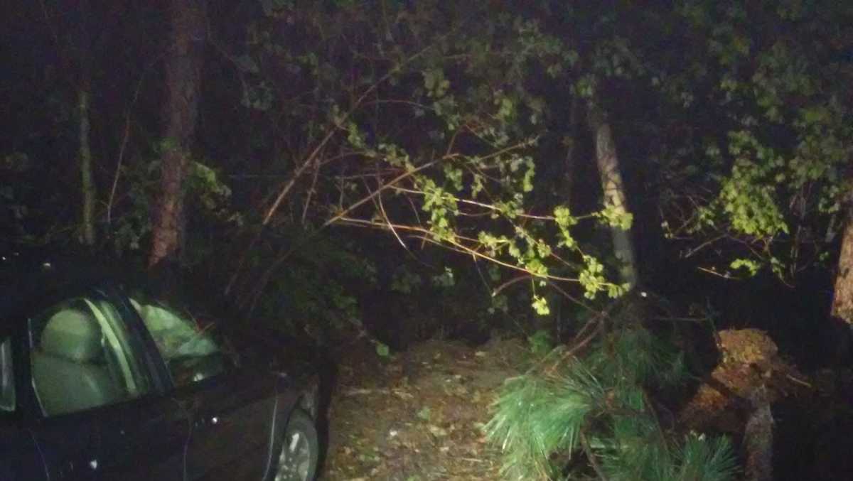 Police Rochester Man Fled Crash Scene On Foot After Driving Car Into Woods