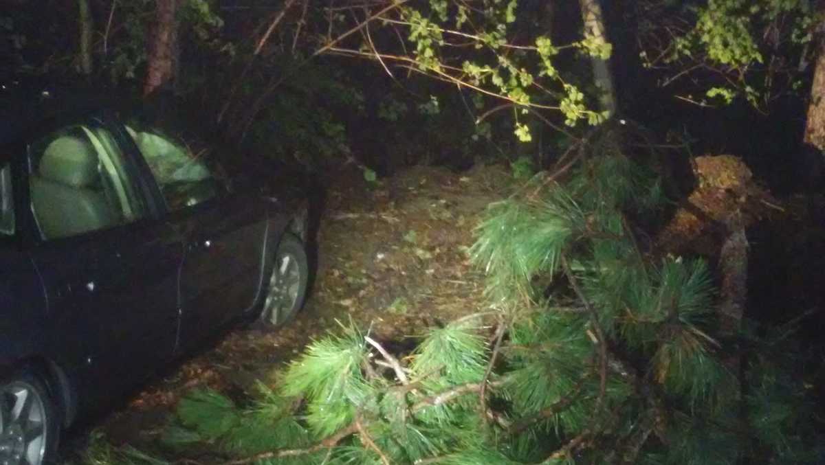 Police Rochester Man Fled Crash Scene On Foot After Driving Car Into Woods