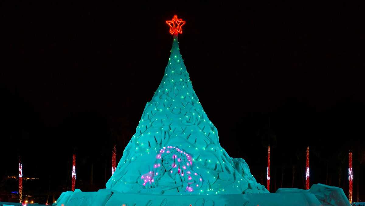 Sandi Tree returns with a new theme for the 2024 holiday season