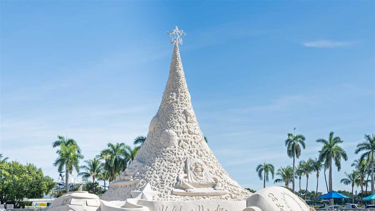 Sandi through the years: Celebrating 10 years of Sandi Tree in West ...