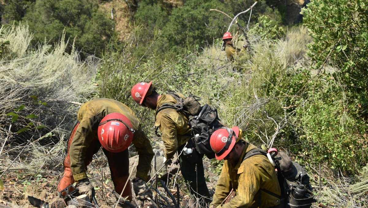 Hotshot crews to be dropped behind the Willow Fire