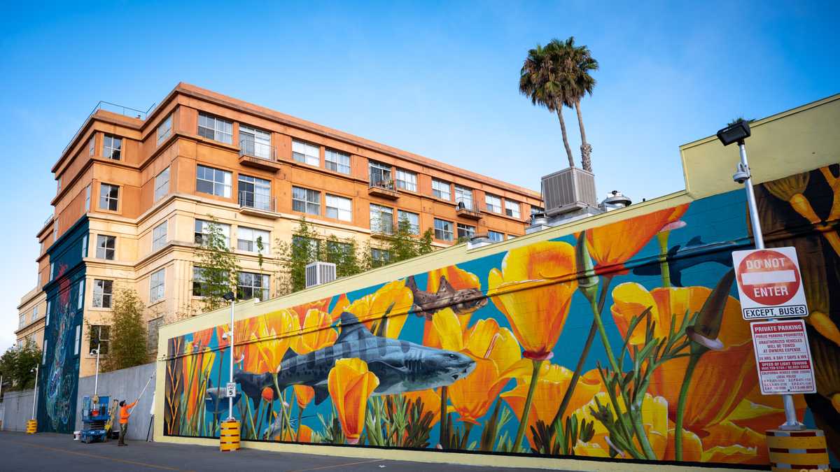 Santa Cruz's newest murals: Sea Walls